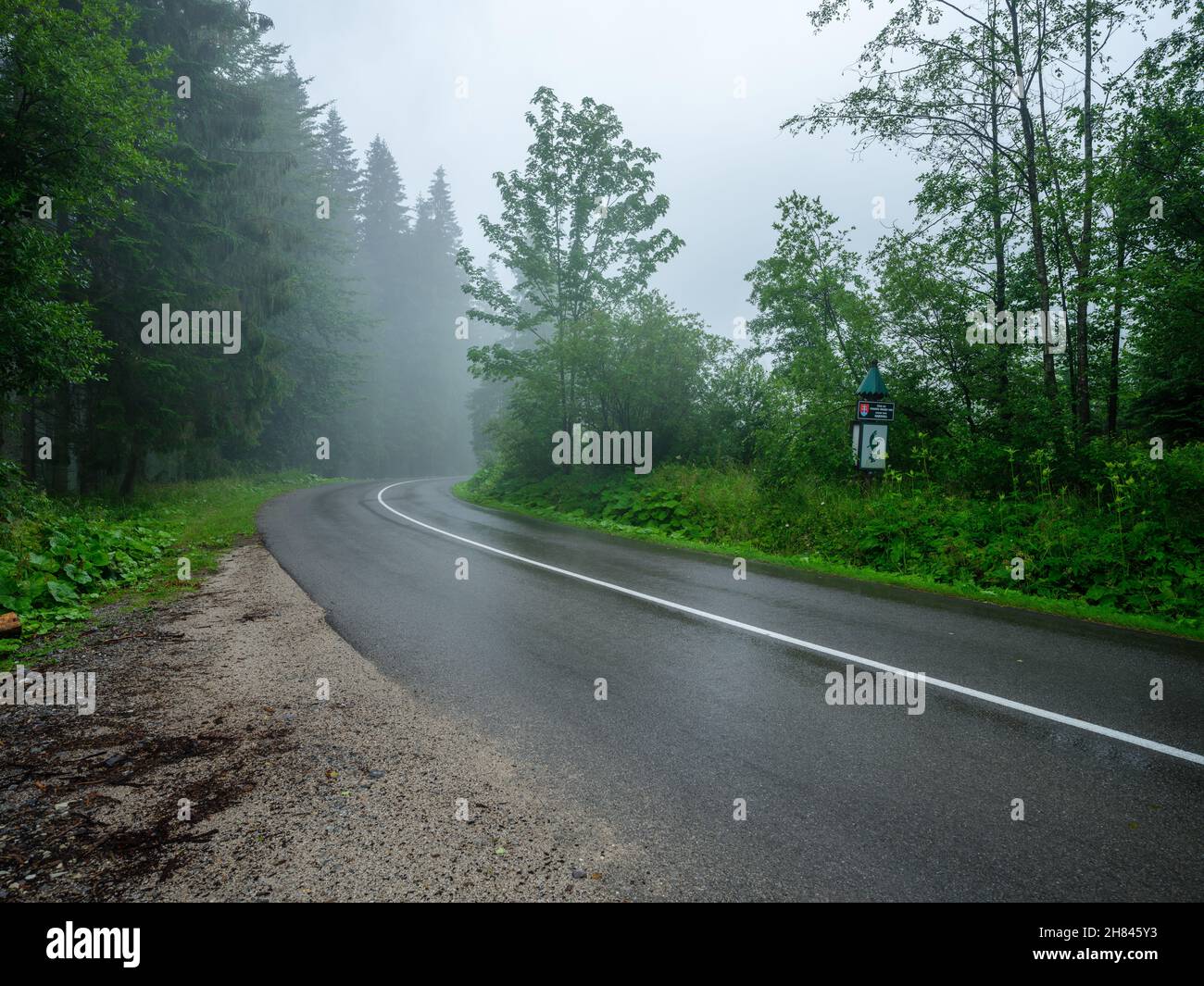 simple asphalt road in perspective with clear direction Stock Photo - Alamy