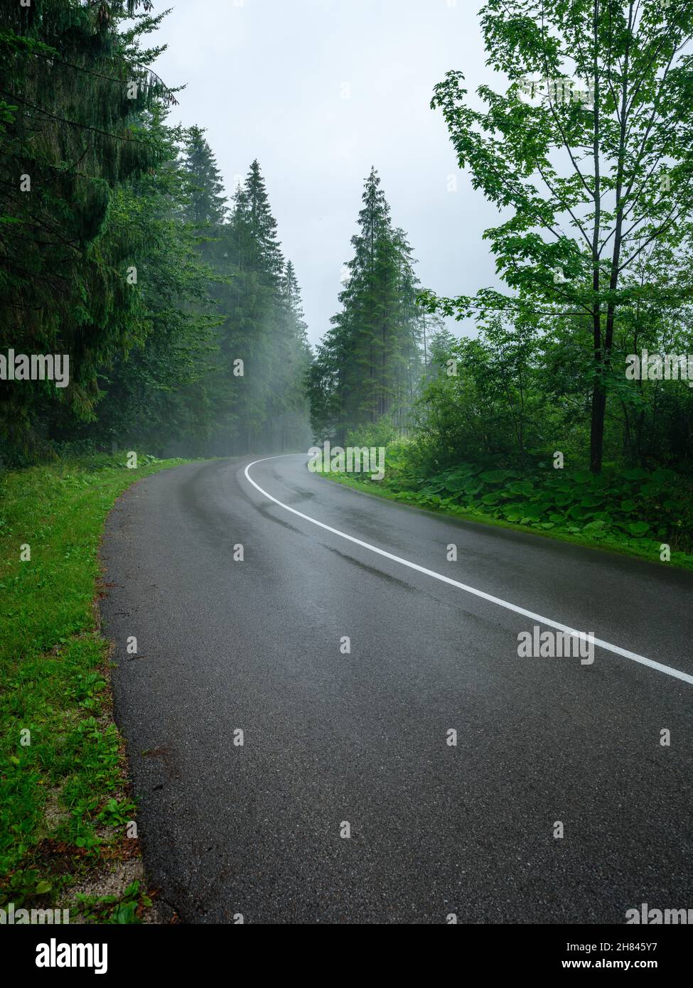 simple asphalt road in perspective with clear direction Stock Photo - Alamy