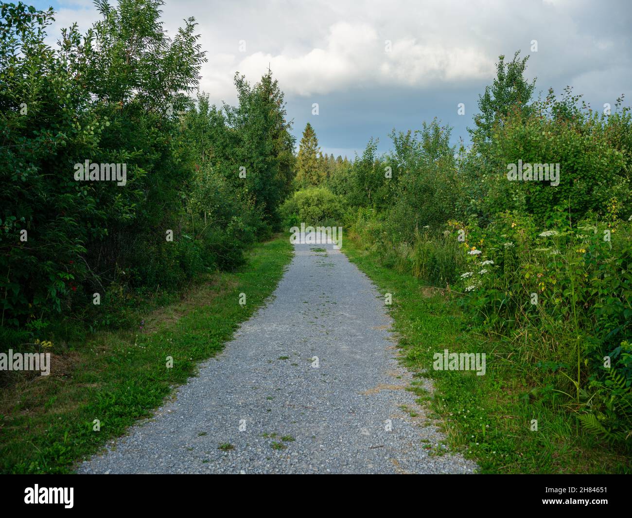 simple asphalt road in perspective with clear direction Stock Photo - Alamy