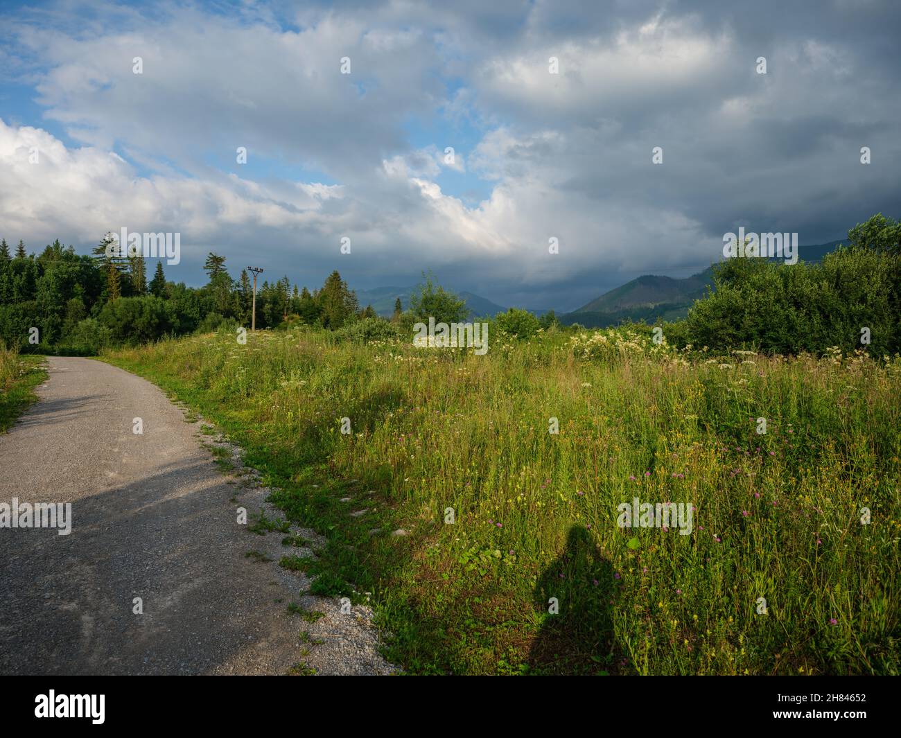 simple asphalt road in perspective with clear direction Stock Photo - Alamy