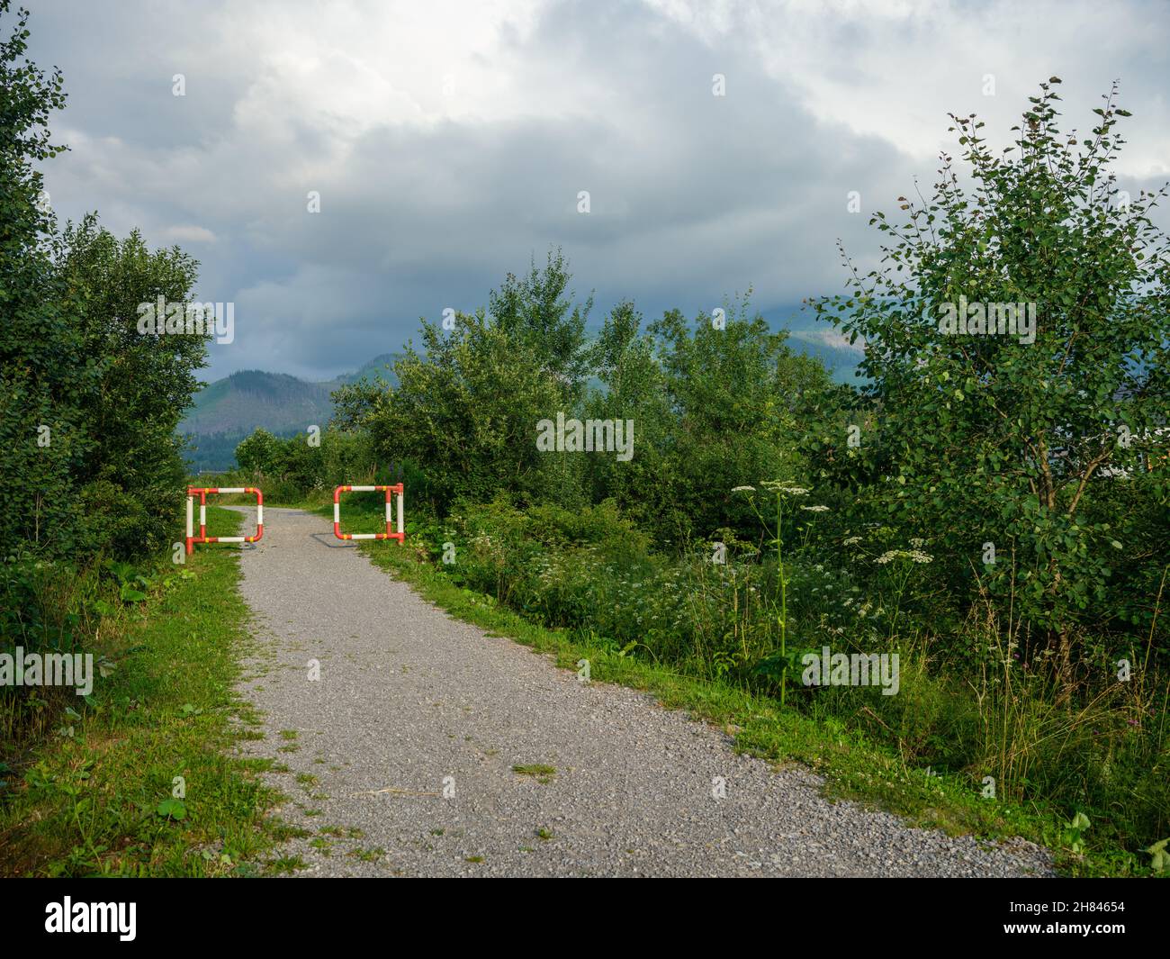 simple asphalt road in perspective with clear direction Stock Photo - Alamy