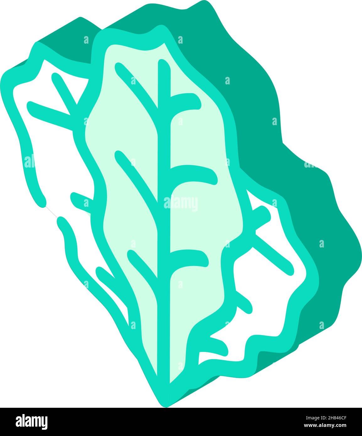 spinach leaves isometric icon vector illustration Stock Vector Image ... spinach leaves isometric icon vector illustration Stock Vector Image ...
