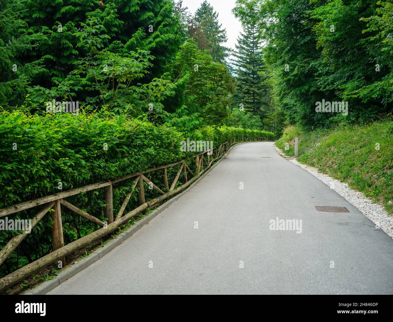 simple asphalt road in perspective with clear direction Stock Photo - Alamy
