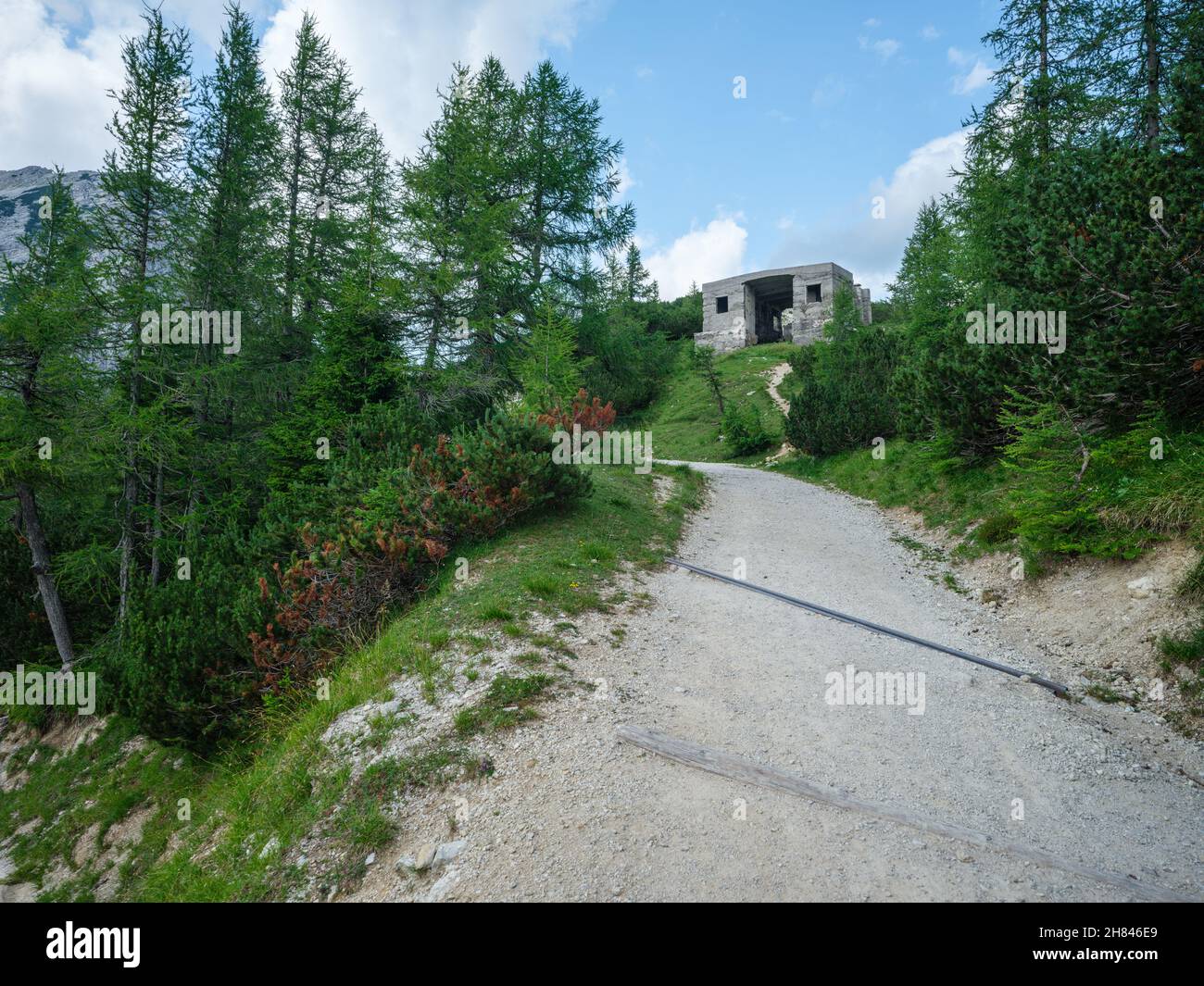 simple asphalt road in perspective with clear direction Stock Photo - Alamy