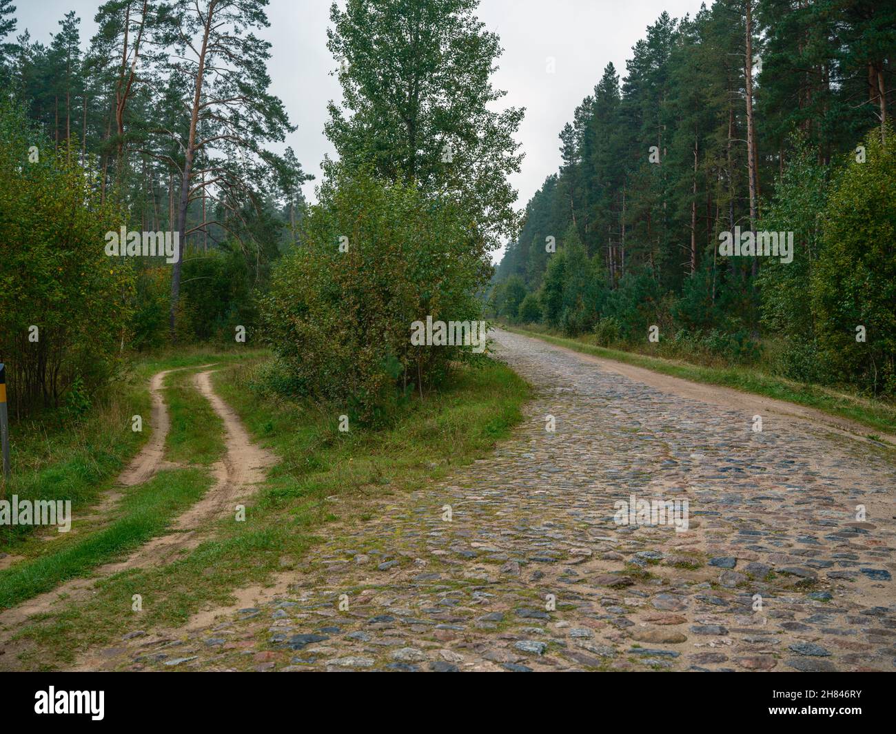 simple asphalt road in perspective with clear direction Stock Photo - Alamy
