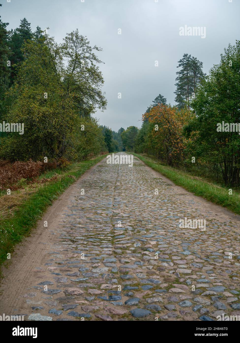 simple asphalt road in perspective with clear direction Stock Photo - Alamy