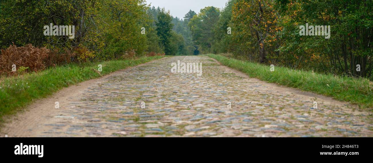 simple asphalt road in perspective with clear direction Stock Photo - Alamy