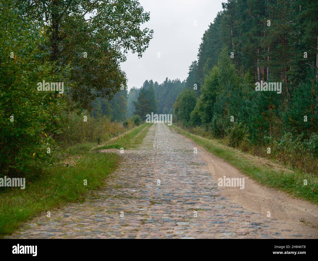 simple asphalt road in perspective with clear direction Stock Photo - Alamy