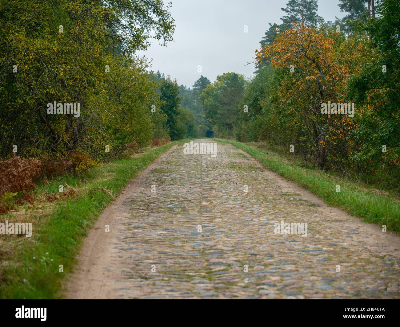 simple asphalt road in perspective with clear direction Stock Photo - Alamy