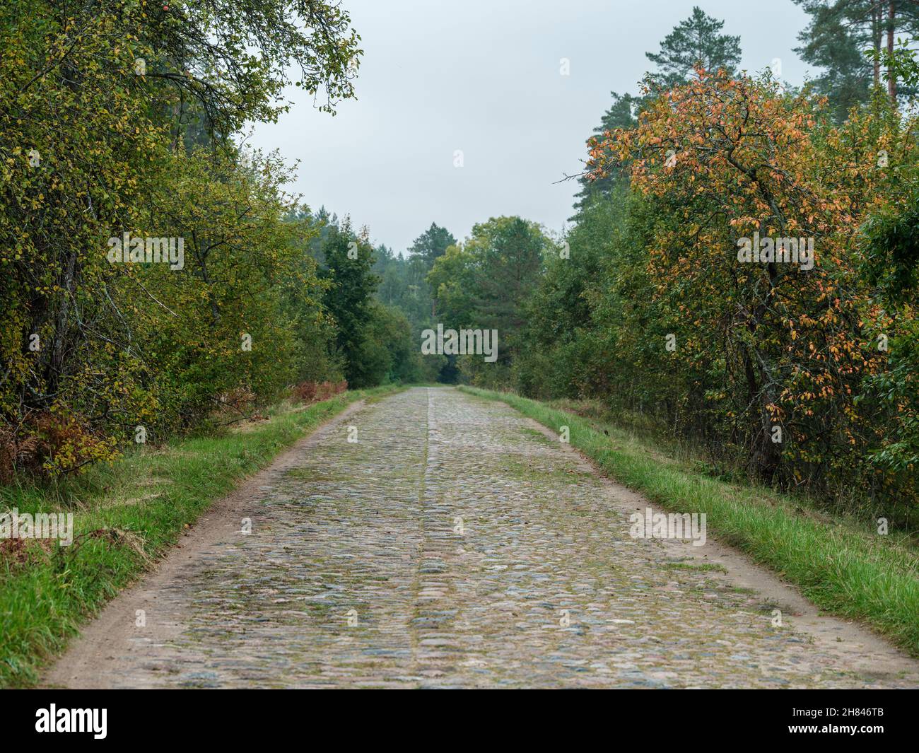 simple asphalt road in perspective with clear direction Stock Photo - Alamy
