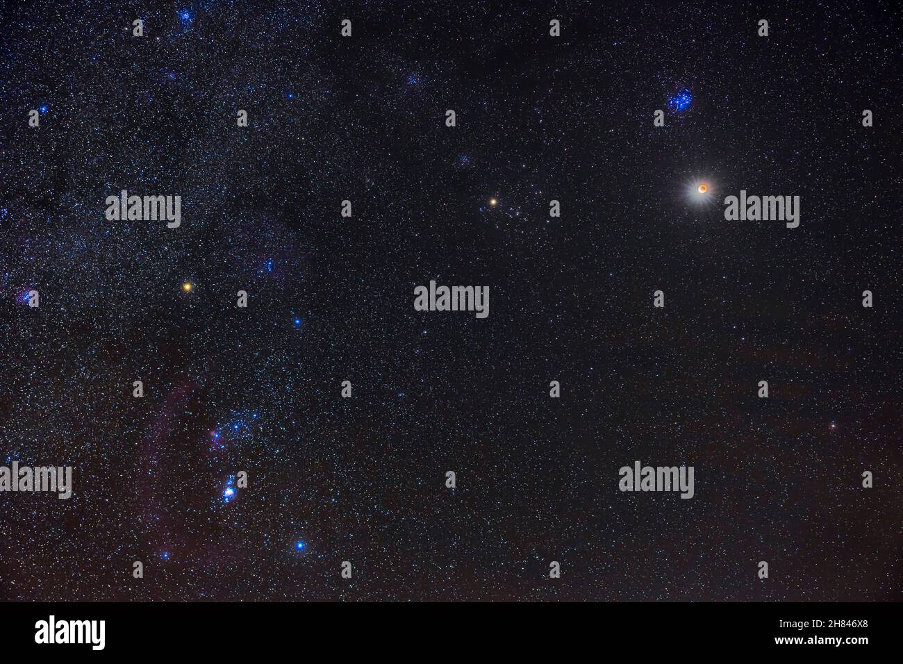 Full cluster hi-res stock photography and images - Alamy