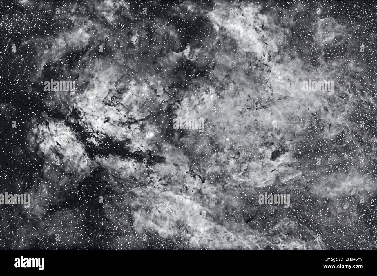 The large emission nebula complex in Cygnus catalogued as IC 1318, and ...