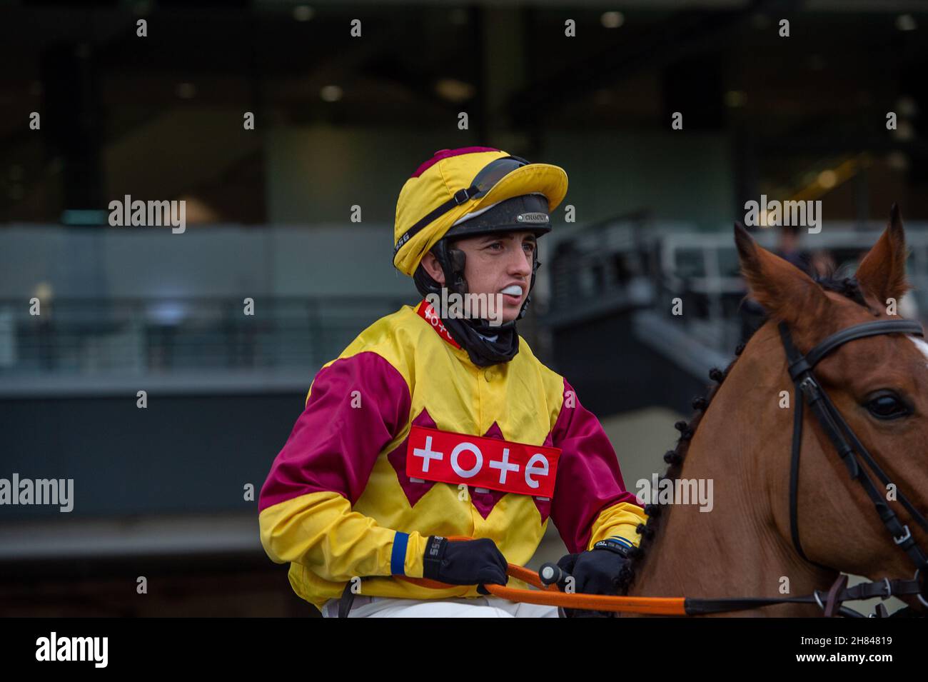 Ascot, Berkshire, UK. 19th November, 2021. Jockey Charlie Hammond on ...