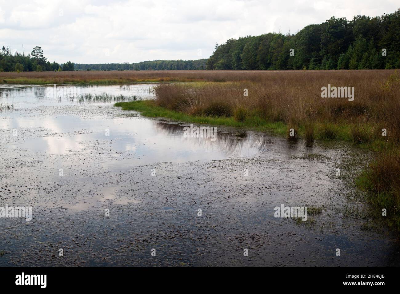 Mere heath hi-res stock photography and images - Alamy