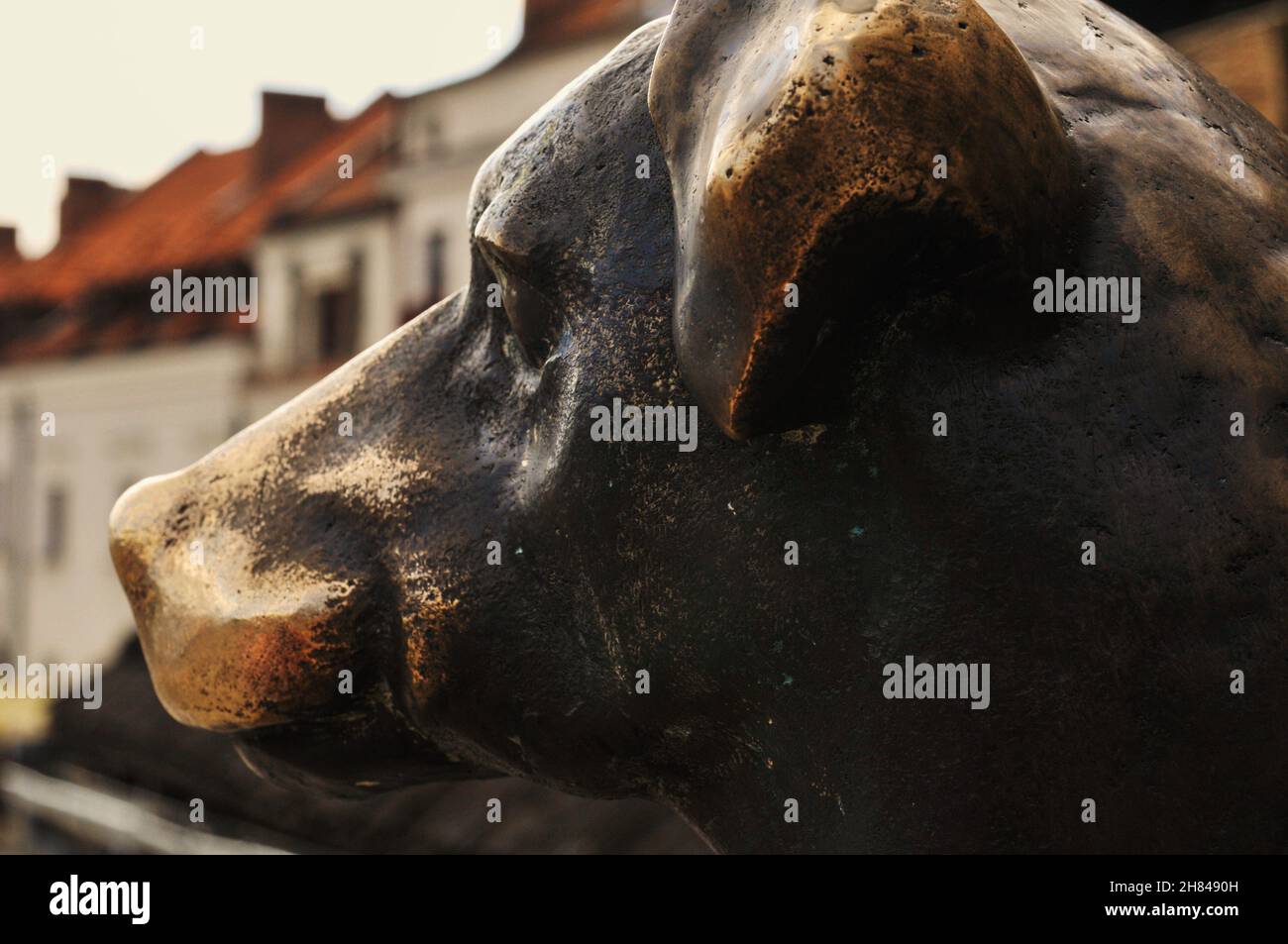 Selective of a face of an old dog statue from a side Stock Photo - Alamy