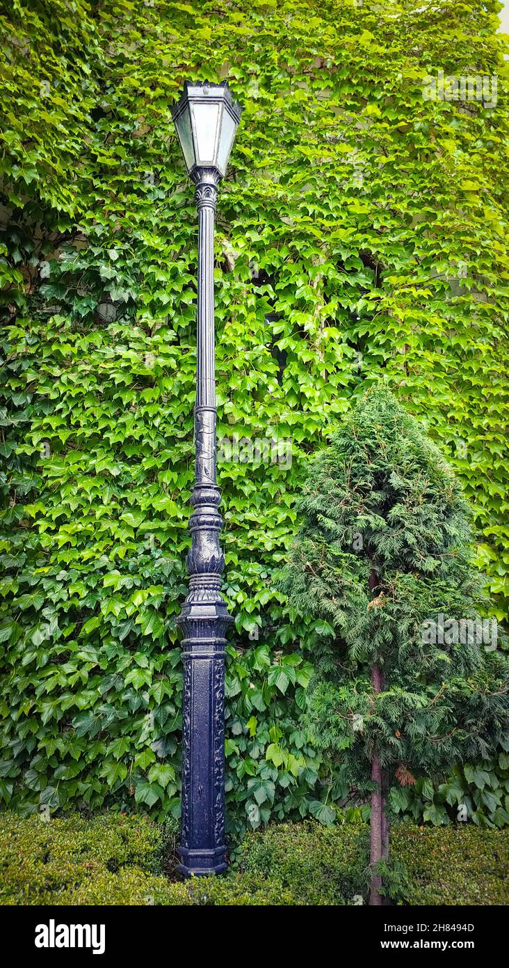 Overgrown streetlight hi-res stock photography and images - Alamy