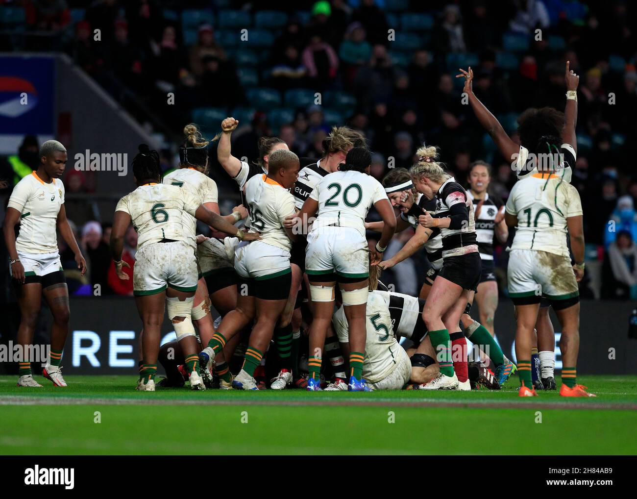 Springboks rugby 2021 hi-res stock photography and images - Alamy