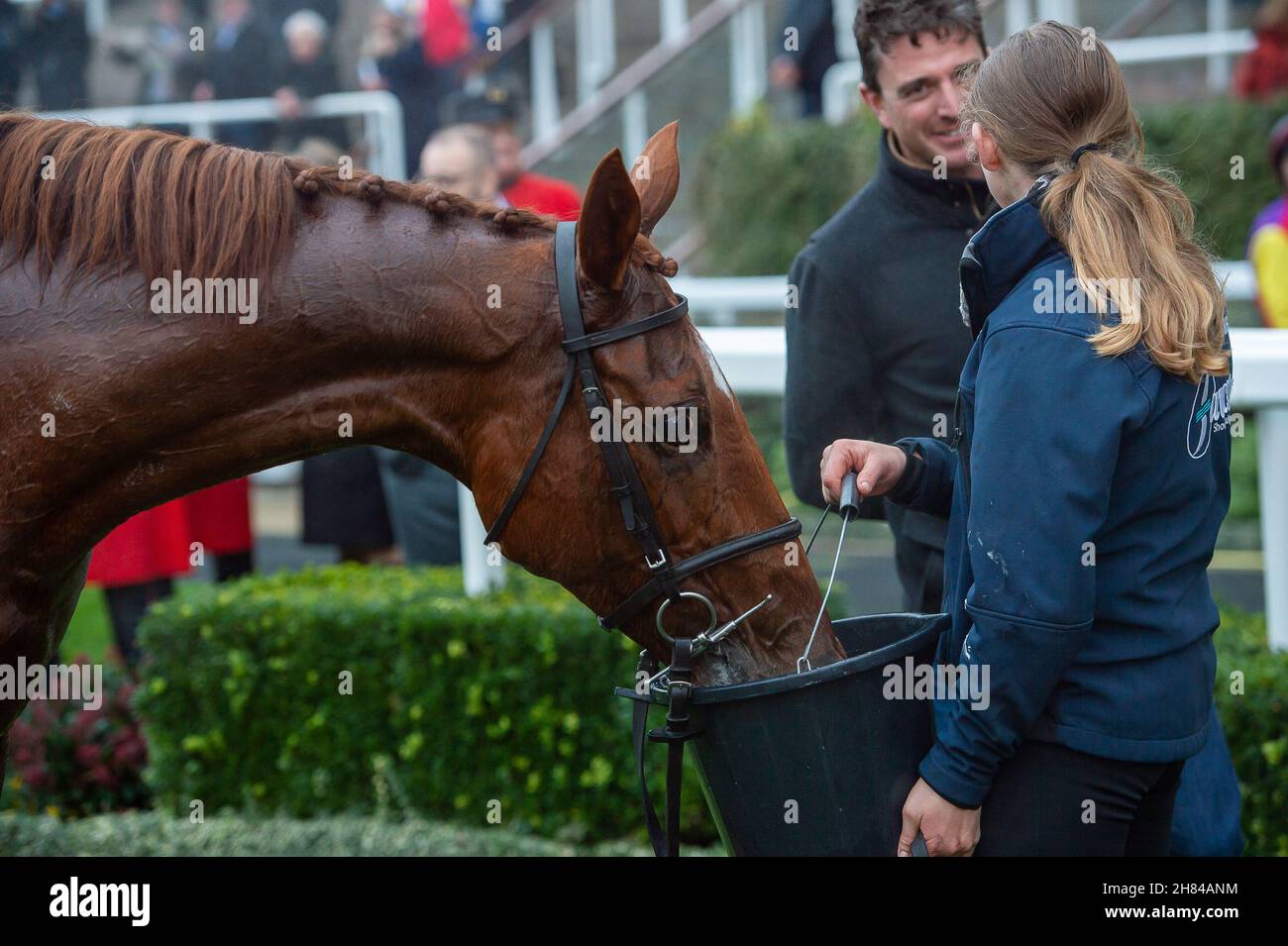 Jockey venetia williams hi-res stock photography and images - Alamy