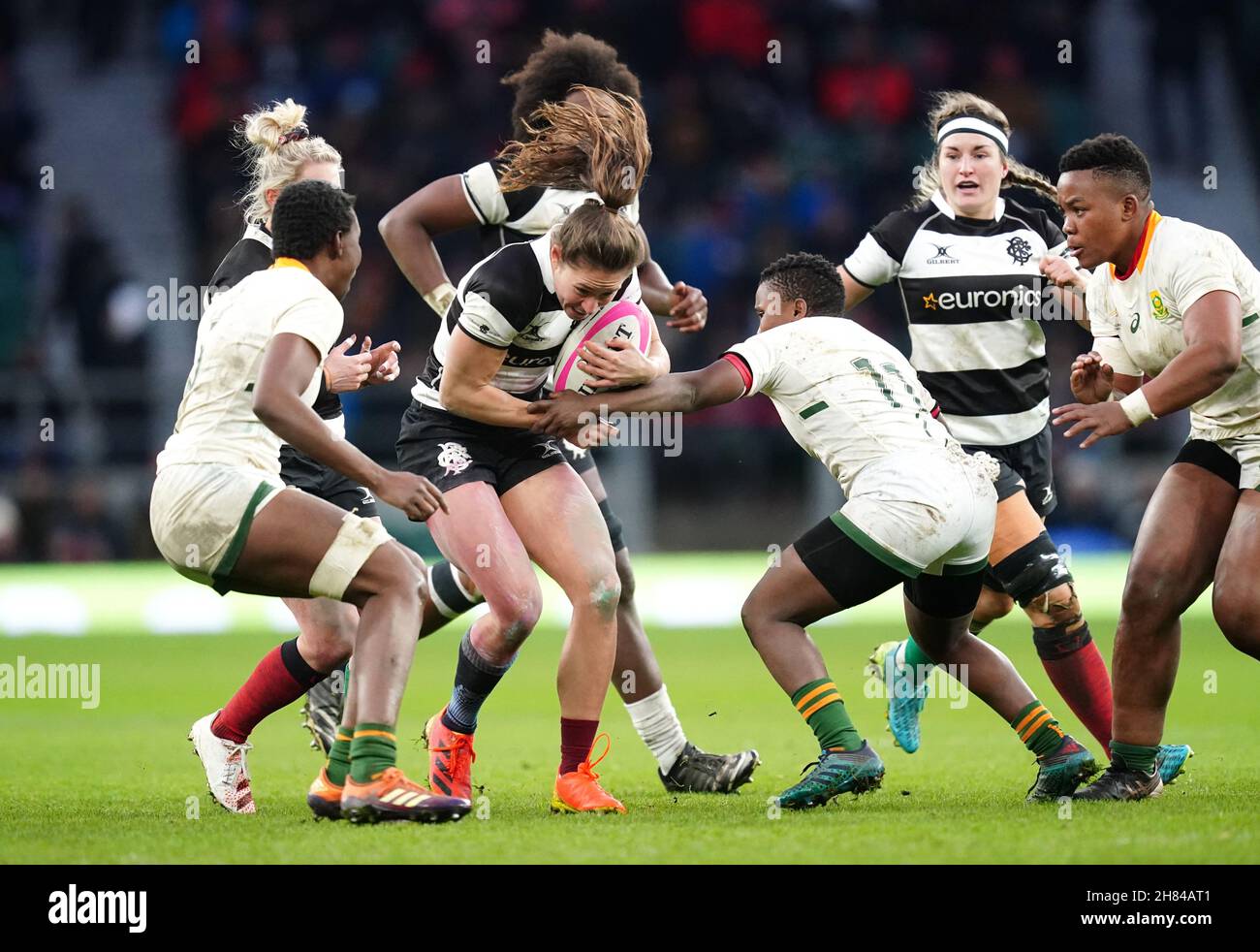 Rhona lloyd hi-res stock photography and images - Alamy