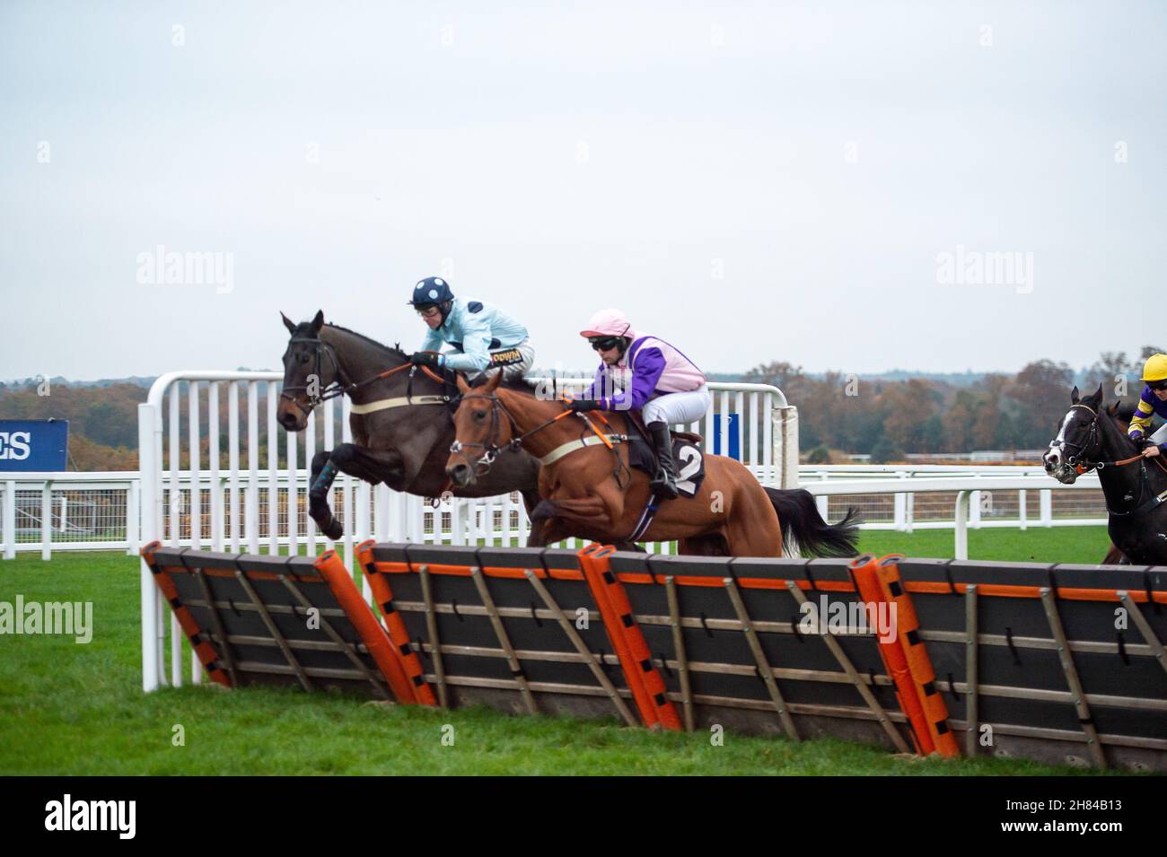 Ascot, Berkshire, UK. 19th November, 2021. GetALead (2) ridden by ...
