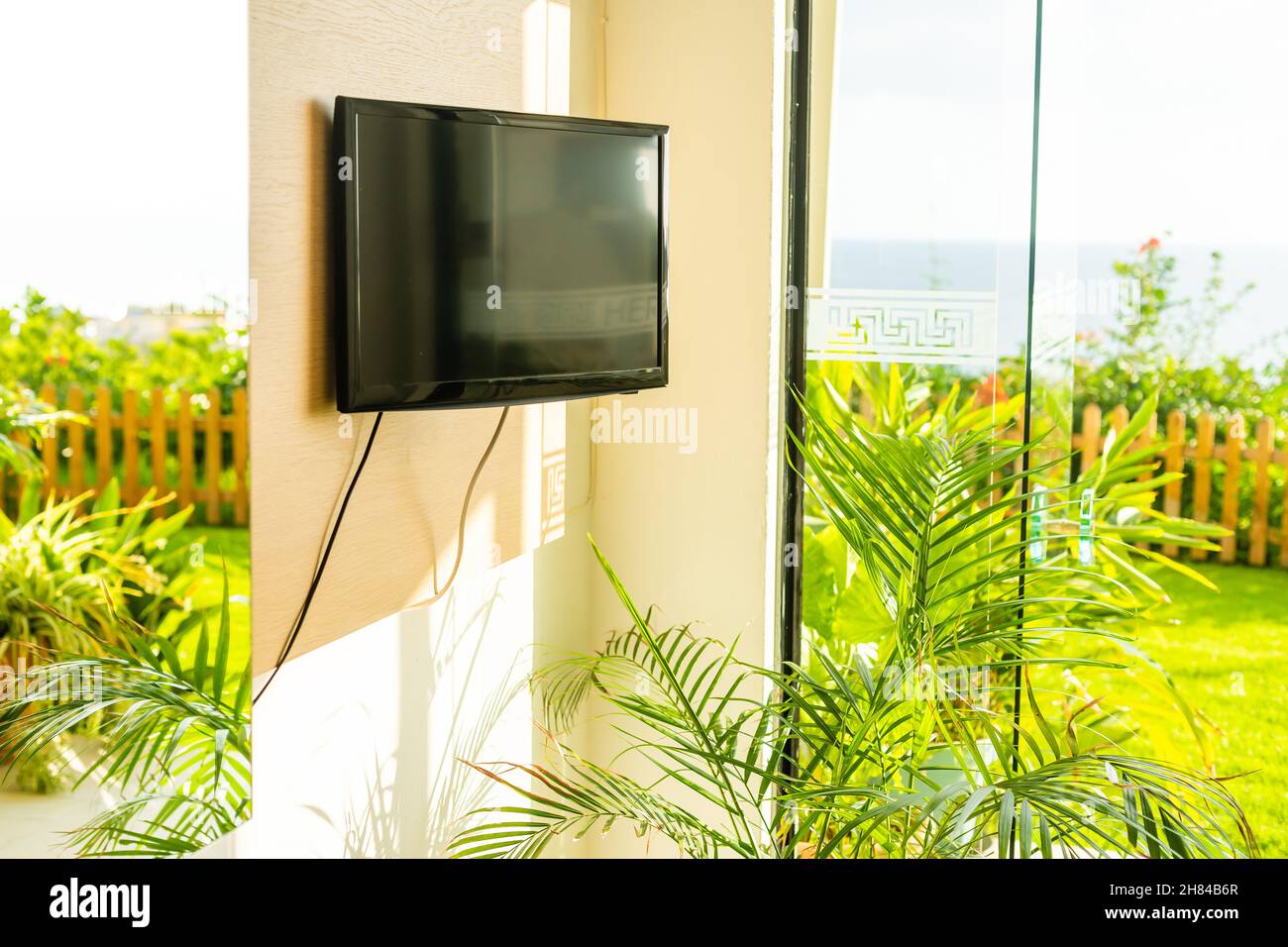 TV monitor near palm trees Stock Photo - Alamy