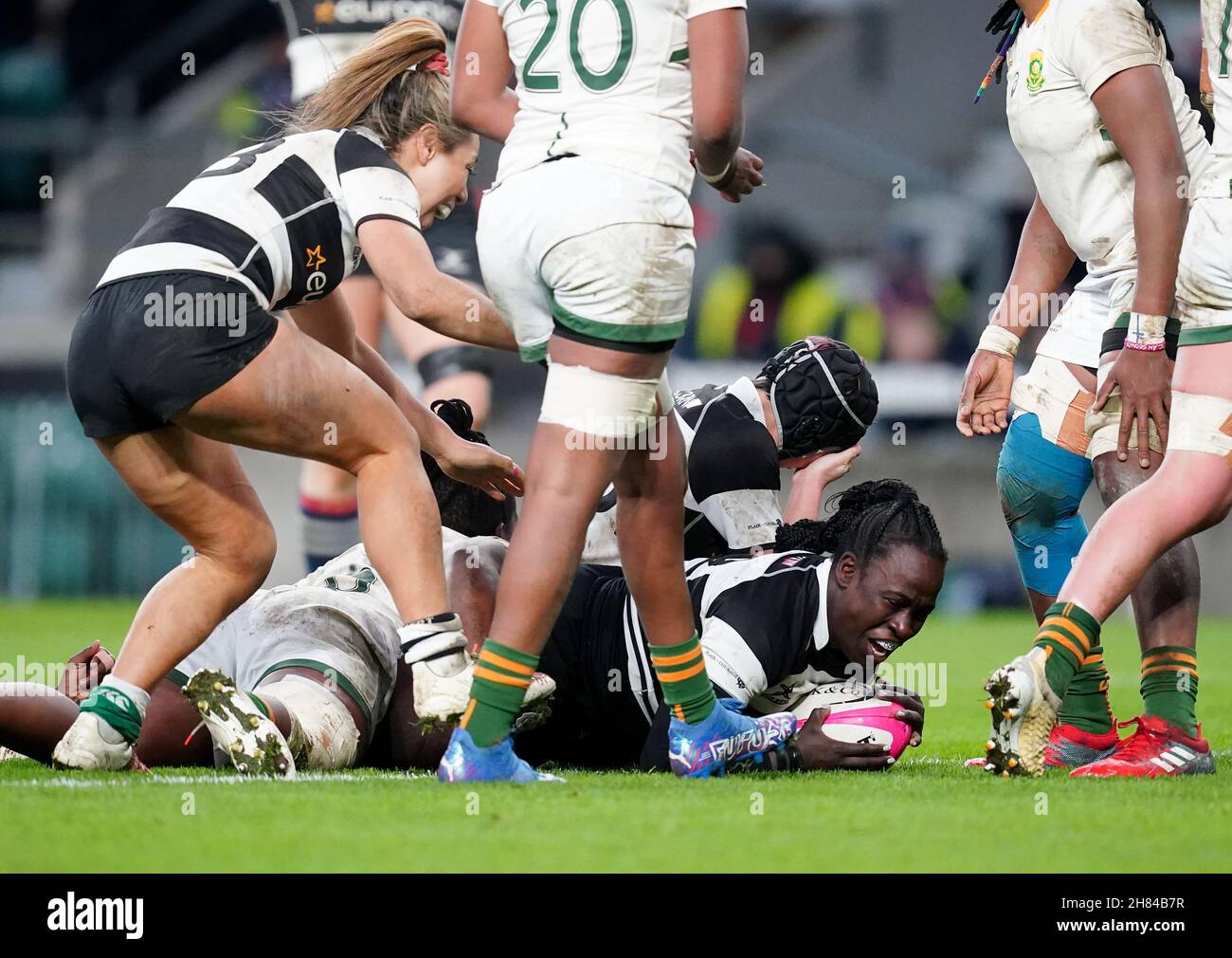 Pam africa hi-res stock photography and images - Alamy