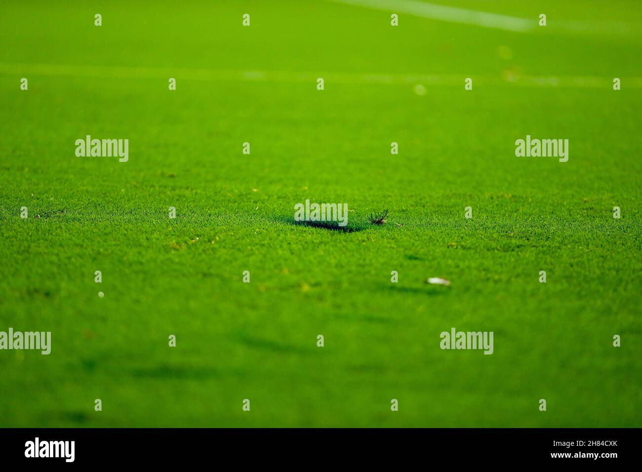 27th November 2021; Selhurst Park, Crystal Palace, London, England ...