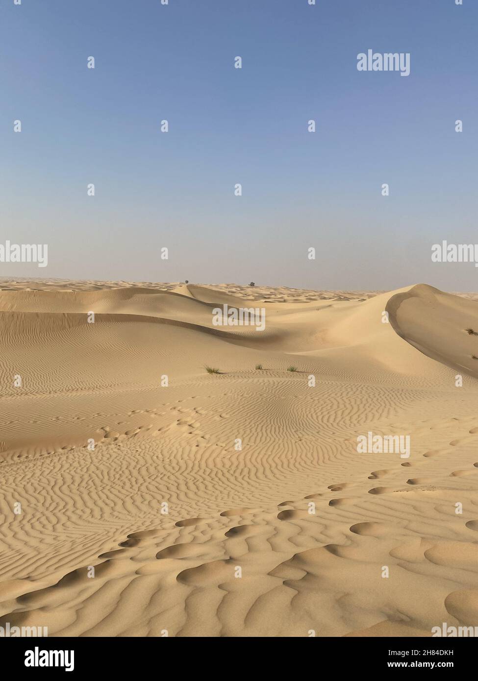 Vertical shot of the beautiful soft sands with steps in the desert with ...