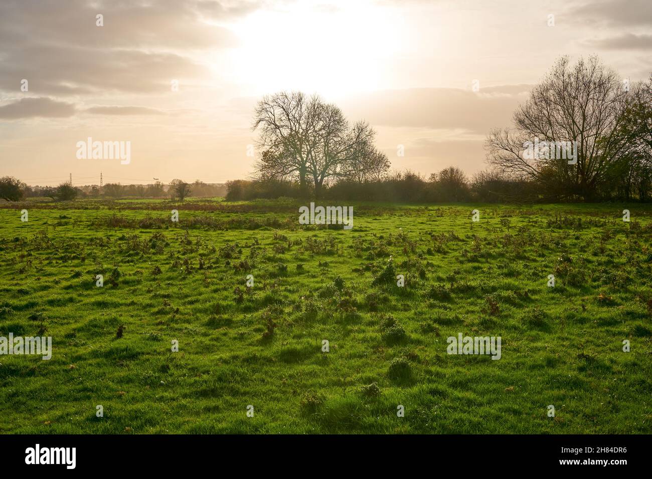 Sun setting on a pasture field Stock Photo - Alamy
