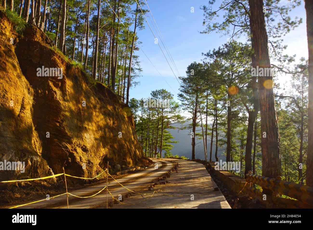 Beautiful view of a wooden path in the middle of a big park and long ...
