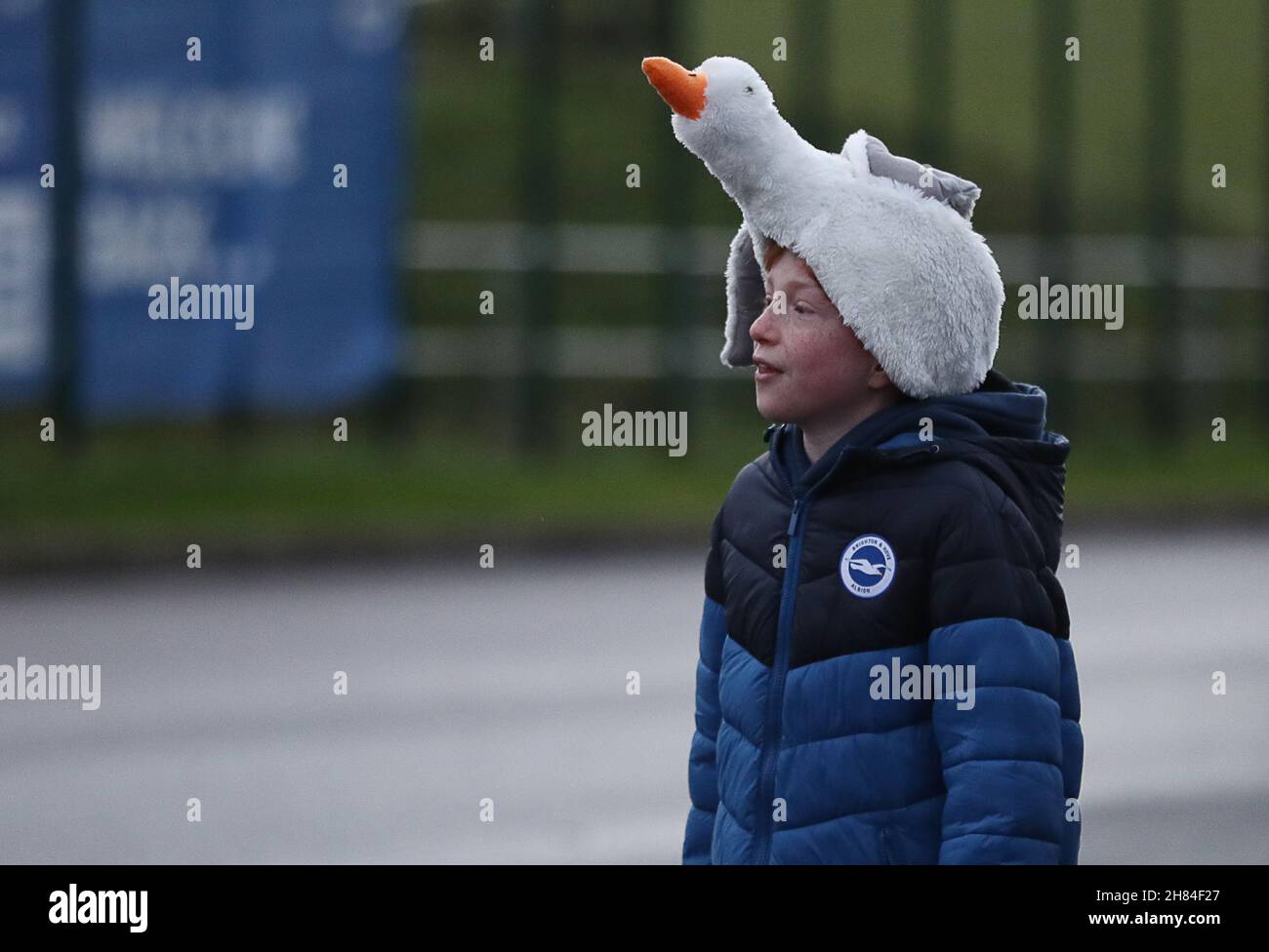 Brighton fan hi-res stock photography and images - Alamy