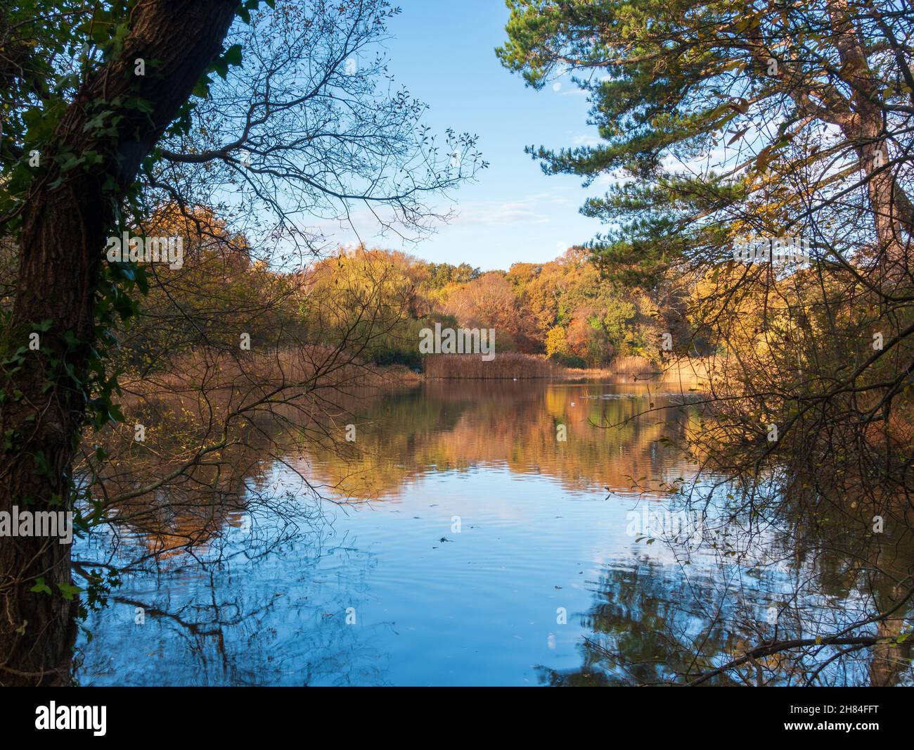 Fishing lake southampton common hi-res stock photography and images - Alamy
