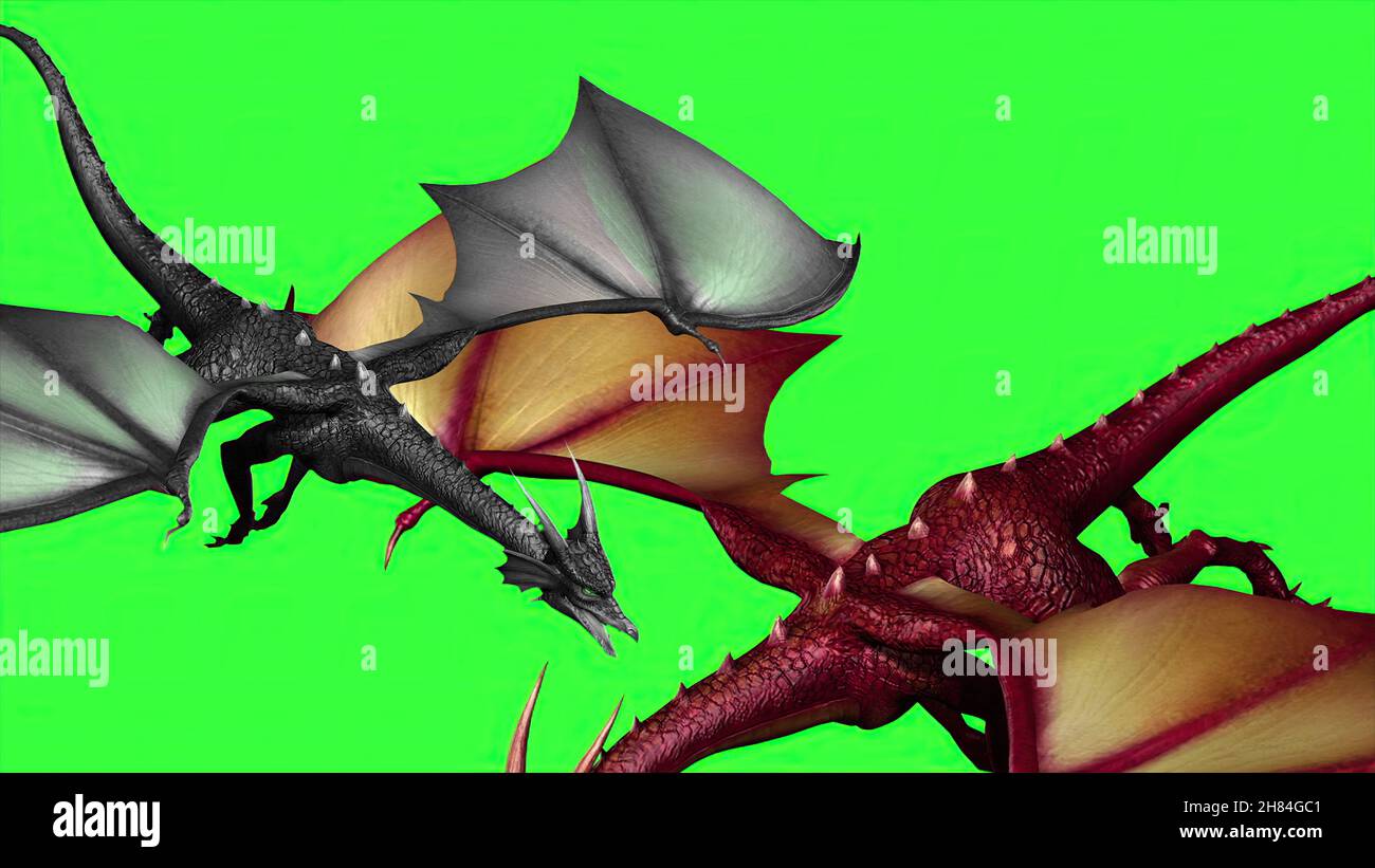 3d illustration - Dragons in fly on green screen Stock Photo - Alamy