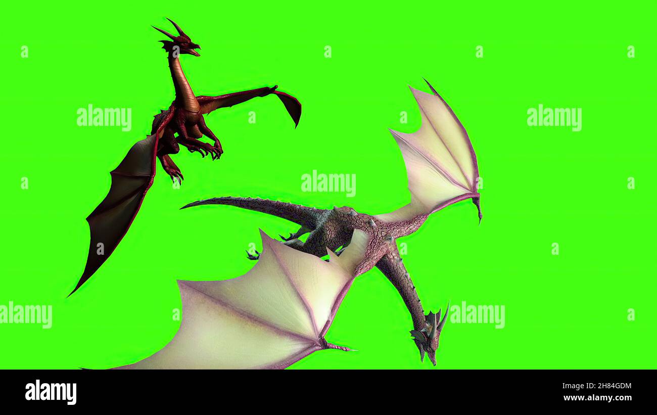 3d illustration - Dragons in fly on green screen Stock Photo - Alamy