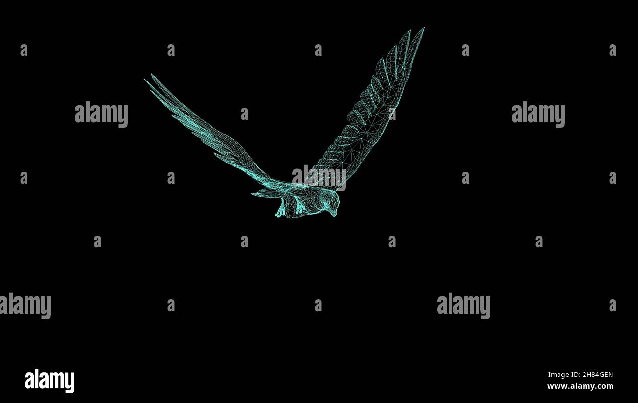 3d illustration - wire frame of Falcon Gliding and Flapping on black ...