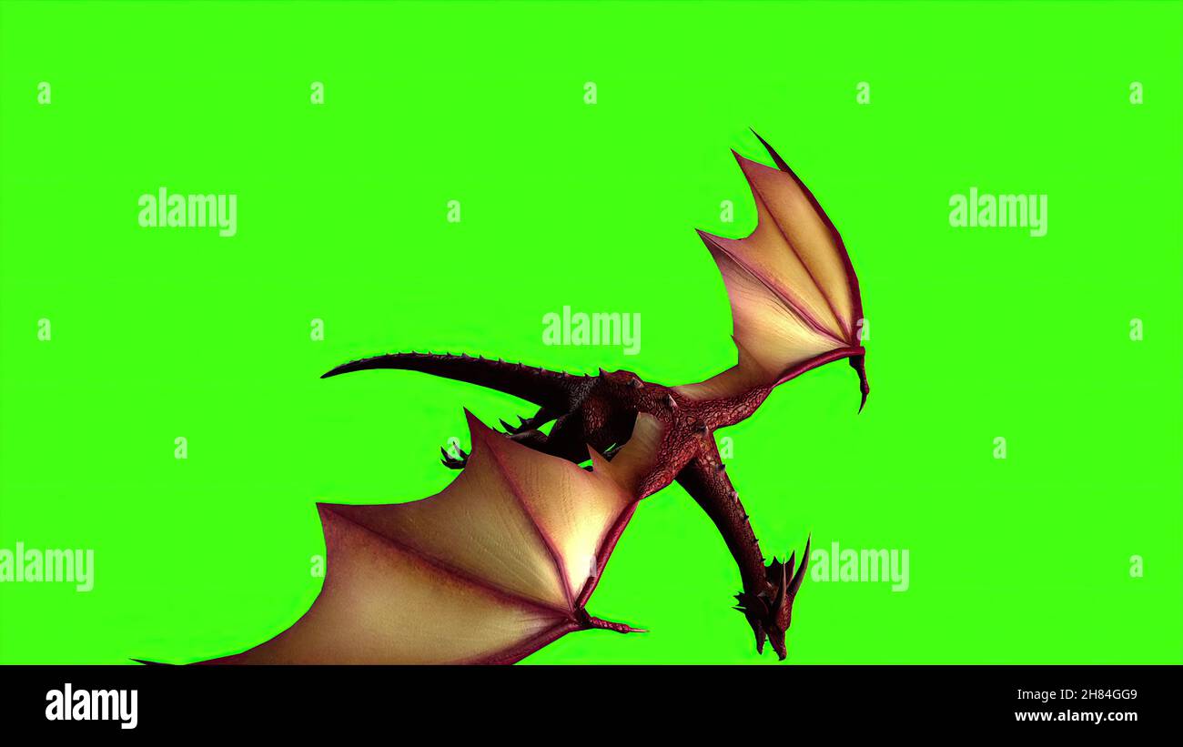 3d illustration - Dragons in fly on green screen Stock Photo - Alamy