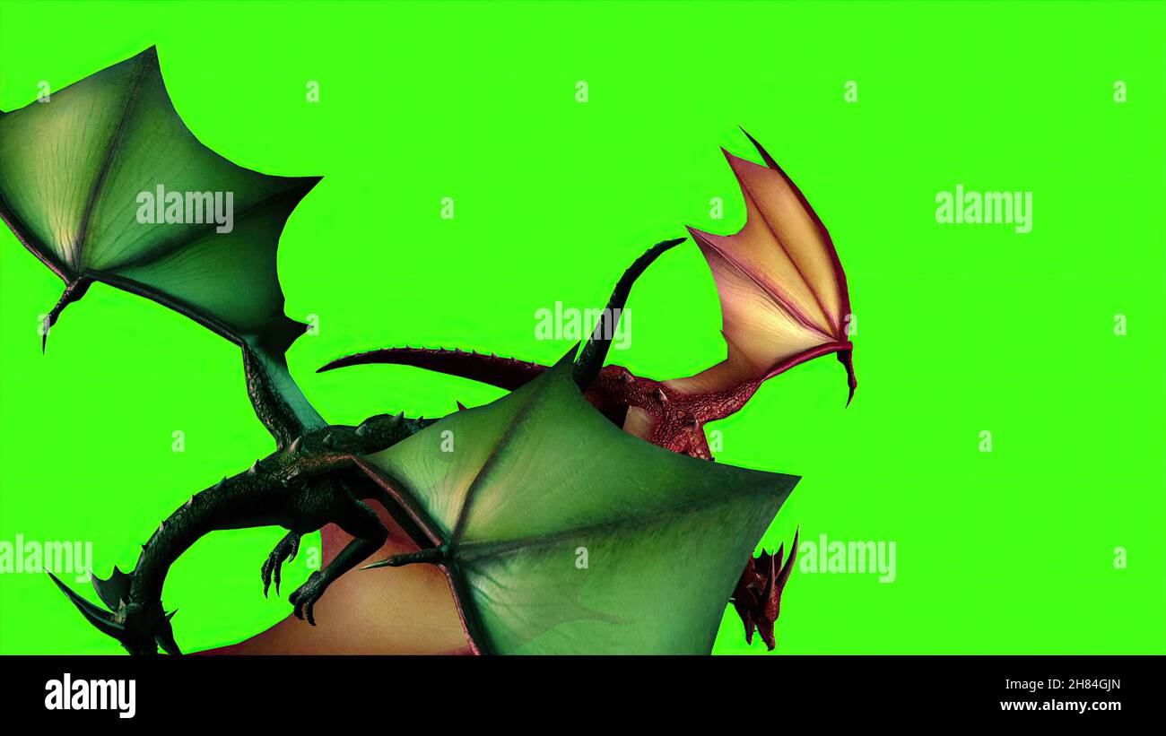 3d illustration - Dragons in fly on green screen Stock Photo - Alamy