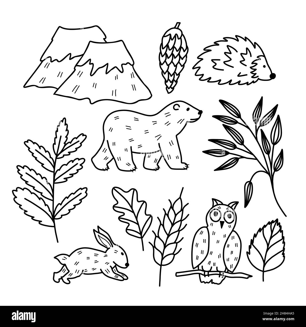 Delicate animals Black and White Stock Photos & Images - Alamy