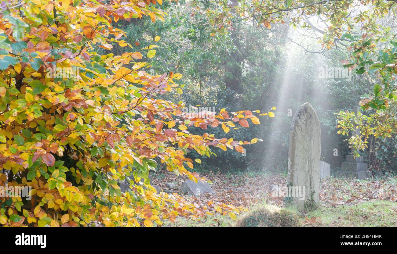 Fall southampton old cemetery hi-res stock photography and images - Alamy