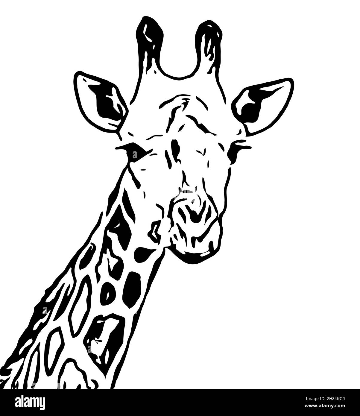 Giraffe Head Drawing Outline
