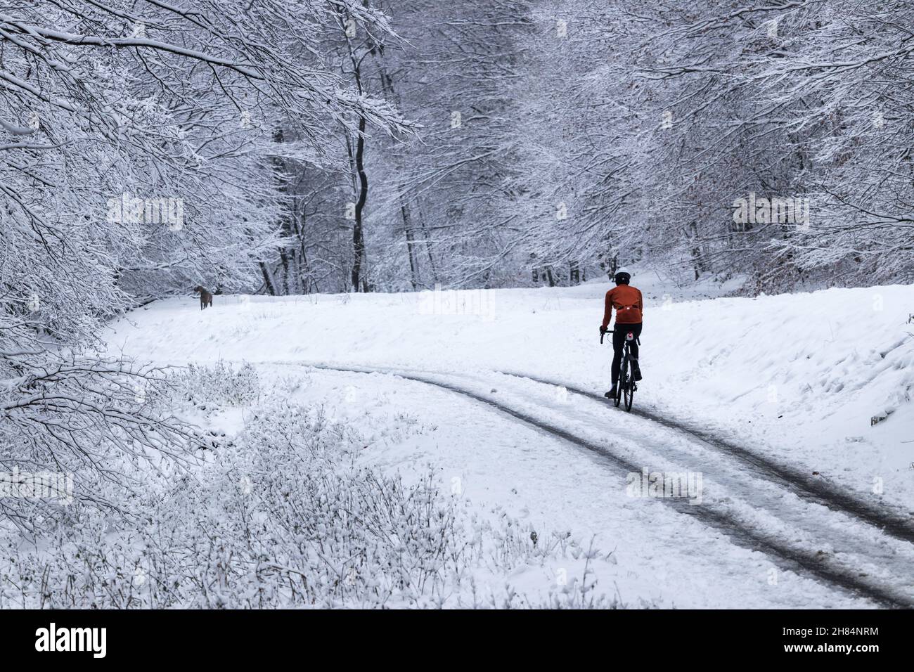 Cycling alone hi-res stock photography and images - Alamy