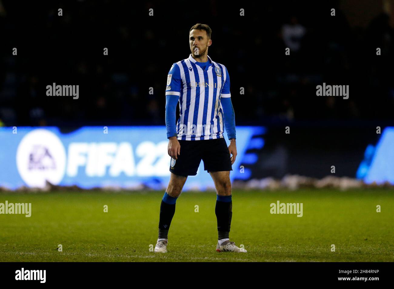 Lee Gregory #9 of Sheffield Wednesday Stock Photo - Alamy