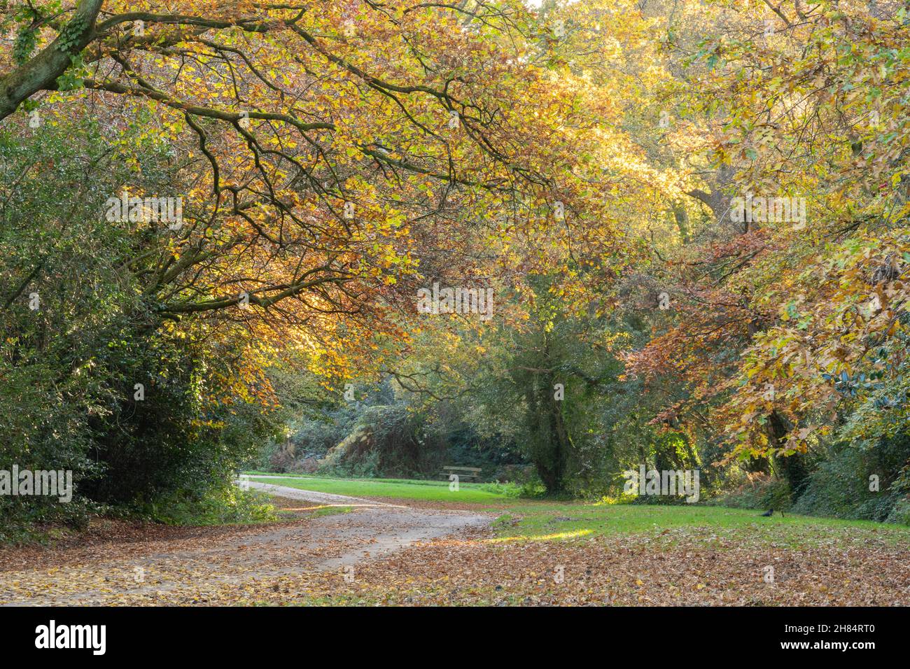 Autumn on Southampton Common Stock Photo - Alamy
