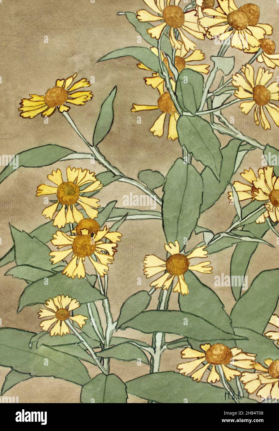 Hannah borger overbeck hi-res stock photography and images - Alamy