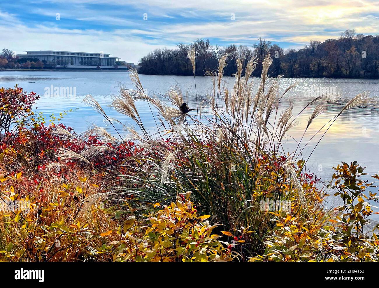 Potomac river washington dc hi-res stock photography and images - Alamy