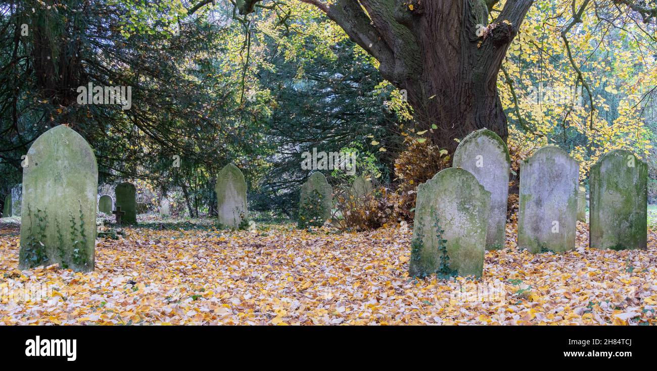 Autumn southampton old cemetery hi-res stock photography and images - Alamy