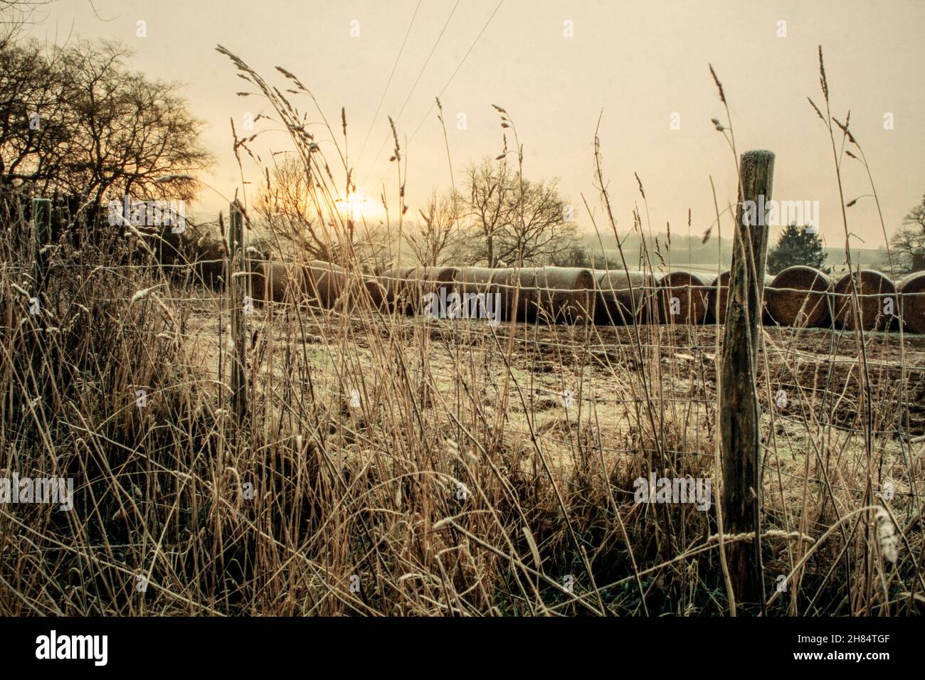 Winter landscape in Kent with a dusting of snow over farmland Stock ...
