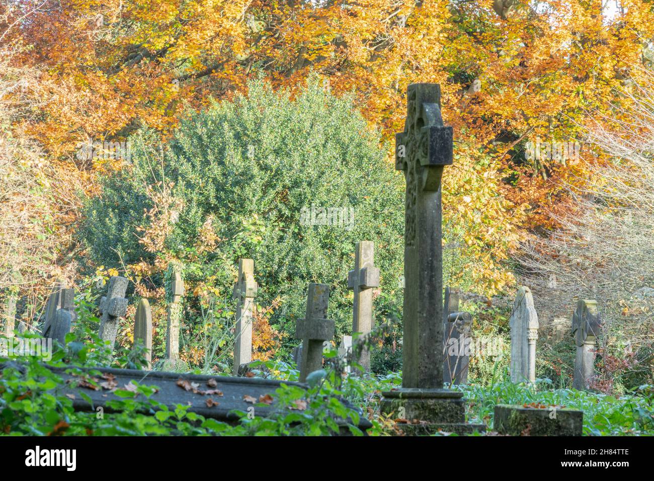 autumn in Southampton Old Cemetery Stock Photo - Alamy