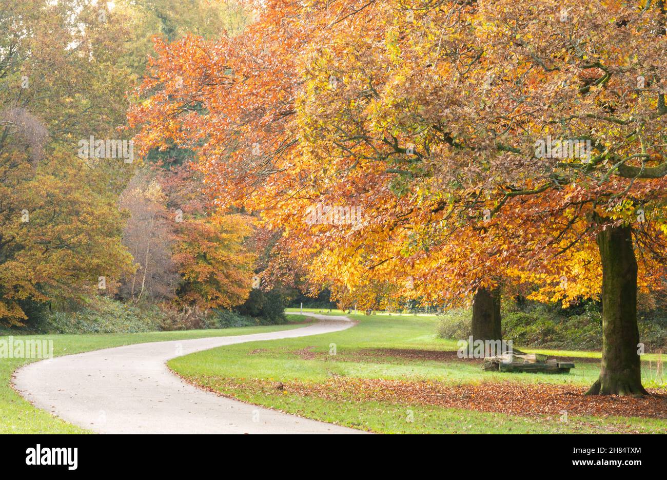 Autumn on Southampton Common Stock Photo - Alamy