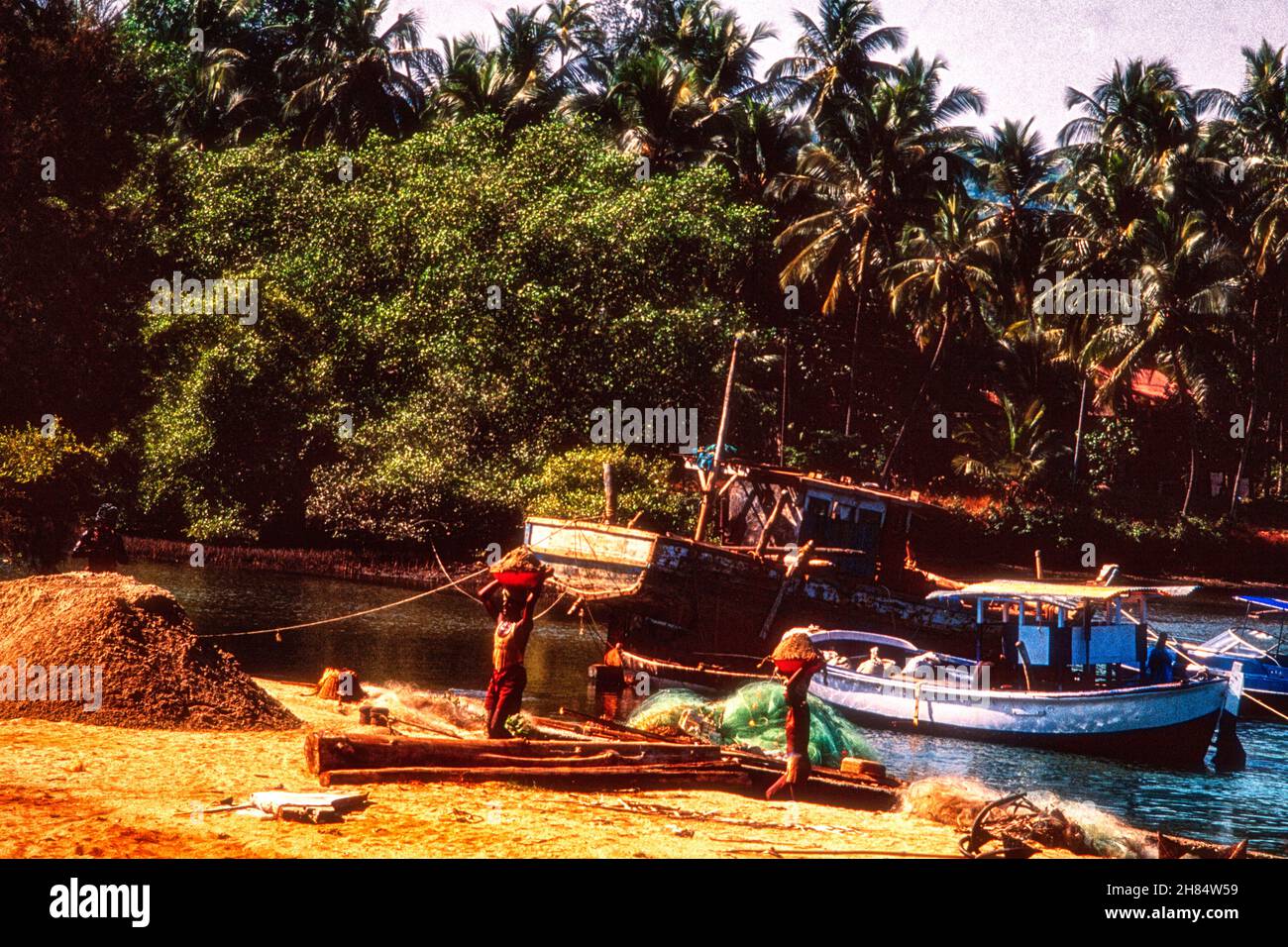 Beauty of rural Goa. High resolution intimate recollection of idyllic holiday location for ...